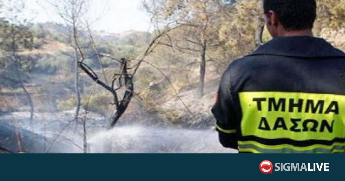 Υπό πλήρη έλεγχο δασική πυρκαγιά σε περιοχή της κοινότητας Δρούσιας ...