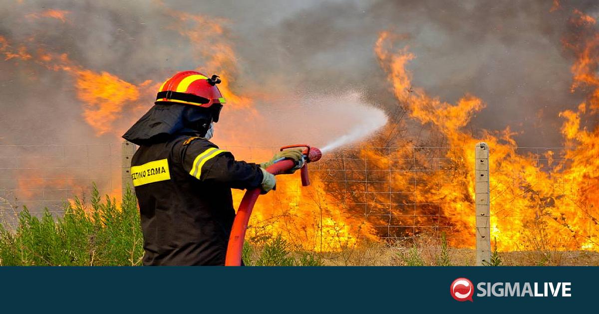 Αυξάνει τις περιπολίες αστυνομία και πυροσβεστική λόγω αύξησης ...