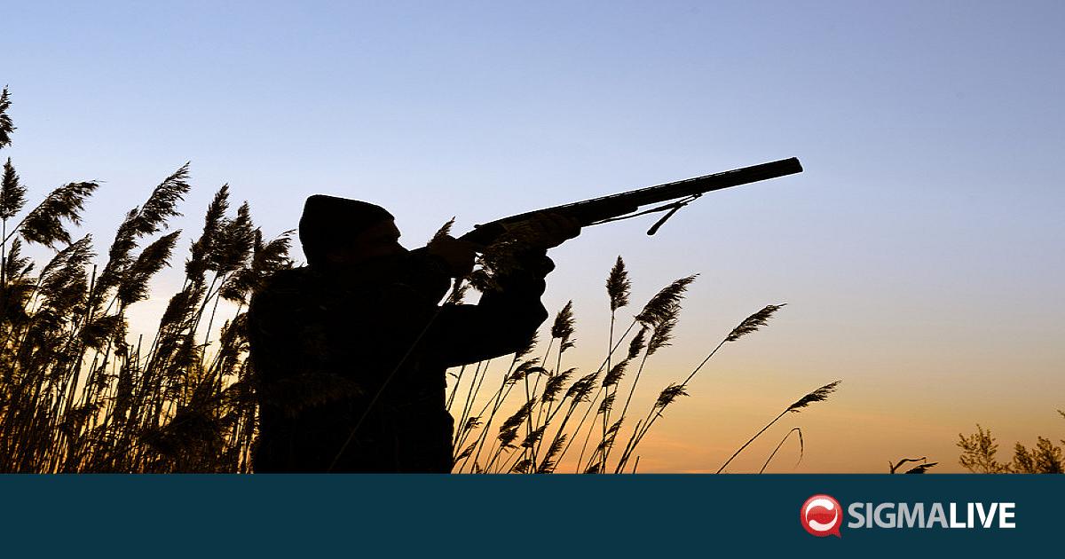 Πρώτη Κυριακή για πέρδικα και λαγό - Όλα όσα πρέπει να ξέρετε - Sigmalive