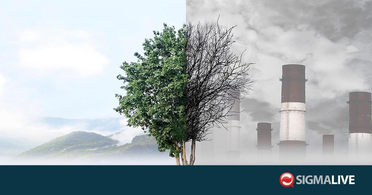 Η ατμοσφαιρική ρύπανση επιβλαβής για μνήμη και μαθησιακές ικανότητες ...