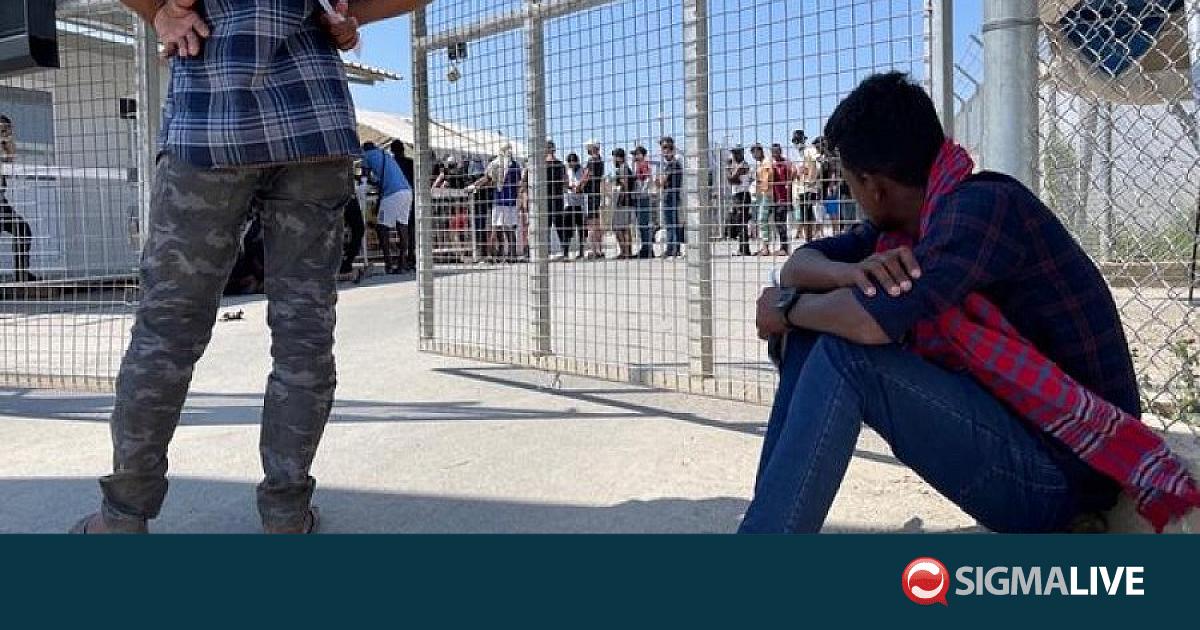 Απελάθηκαν 7 παράνομοι μετανάστες από την Κύπρο-Συνολικά 9,420 απελάσεις φέτος - Sigmalive