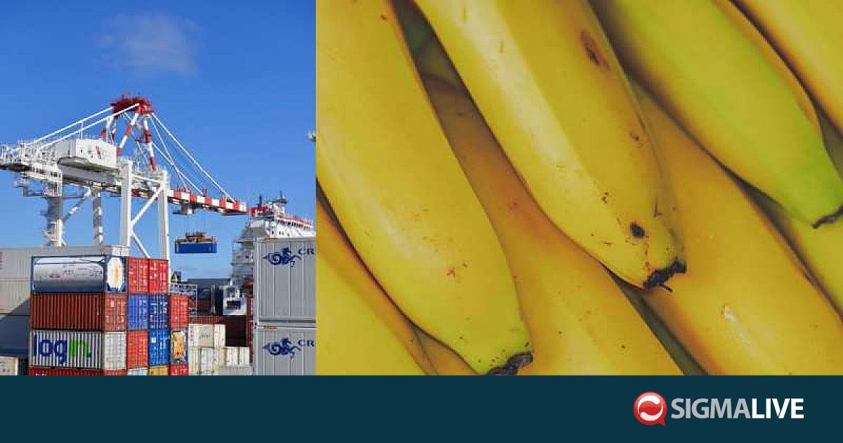 Θεσσαλονίκη: Κατασχέθηκαν 46 κιλά κοκαΐνης σε κοντέινερ με μπανάνες - Sigmalive