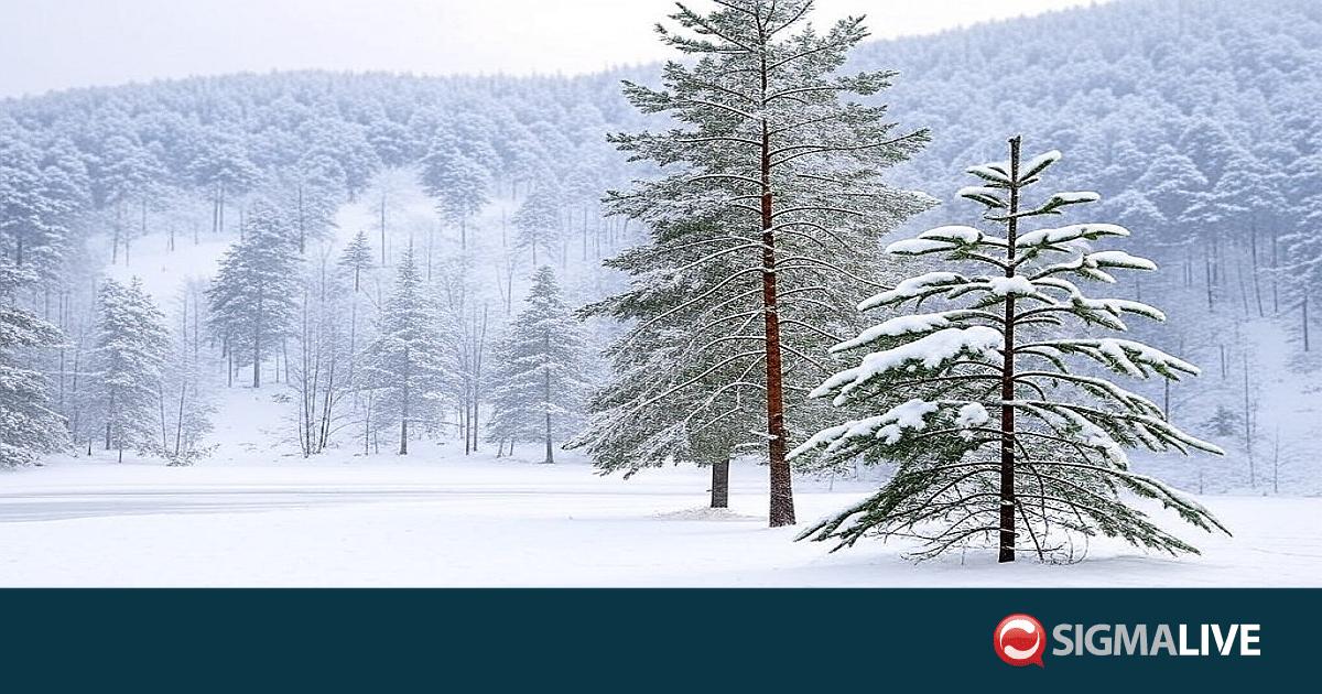 Πλησιάζει η κακοκαιρία «ELENA» - Φέρνει βροχές, καταιγίδες και χαλάζι (ΒΙΝΤΕΟ) - Sigmalive