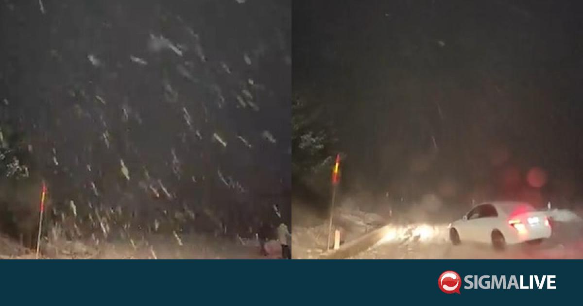 Πυκνή χιονόπτωση στο Τρόοδος- Δείτε το βίντεο - Sigmalive