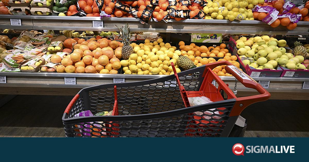 Σε πιλοτική φάση η πλατφόρμα e-kalathi – Σύγκριση τιμών για 478 προϊόντα - Sigmalive