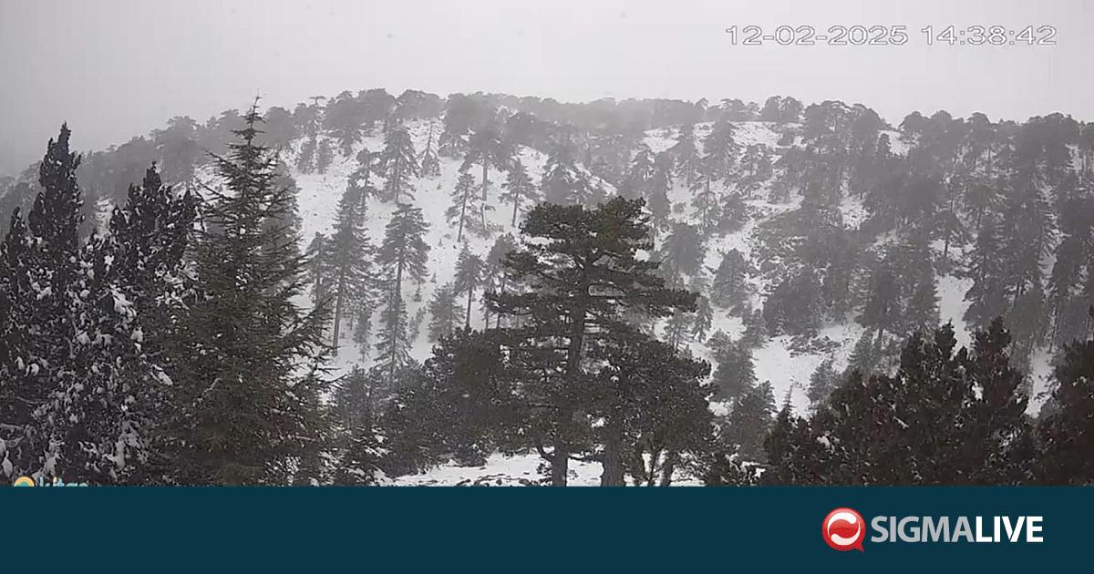 Άρχισε η χιονόπτωση στο Τρόοδος – Δείτε βίντεο και φωτογραφίες - Sigmalive