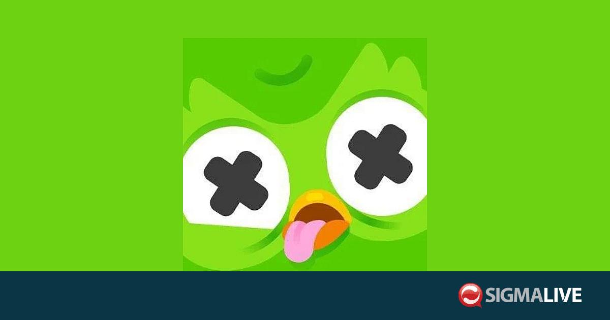 «Πέθανε» η κουκουβάγια της Duolingo - Sigmalive