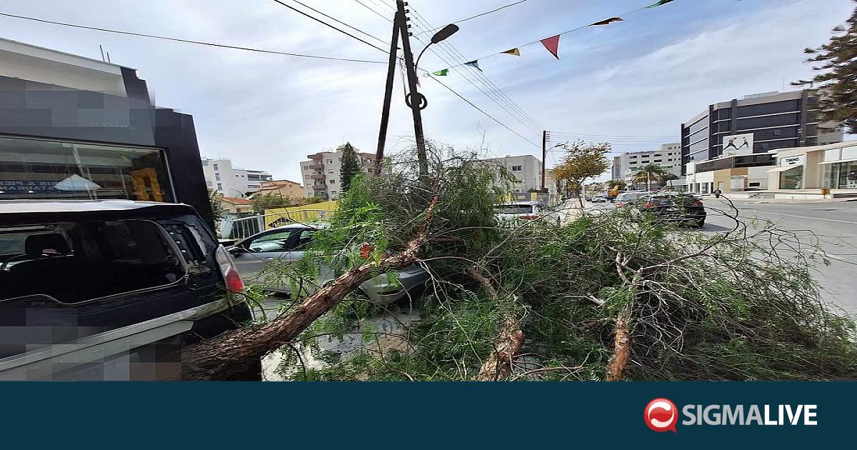Ζημιές από σφοδρούς ανέμους στη Λεμεσό-Ξεριζώθηκε δέντρο,έπεσε σε όχημα ...
