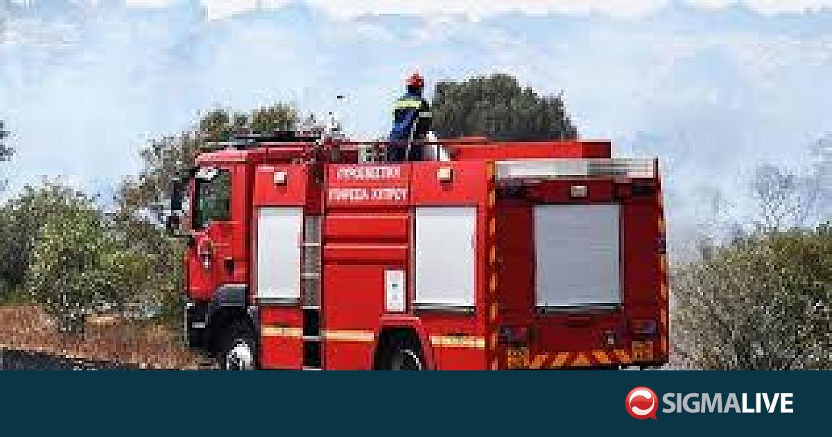 Φωτιά σε δύσβατη περιοχή στην Πάφο έθεσε σε κινητοποίηση την ...