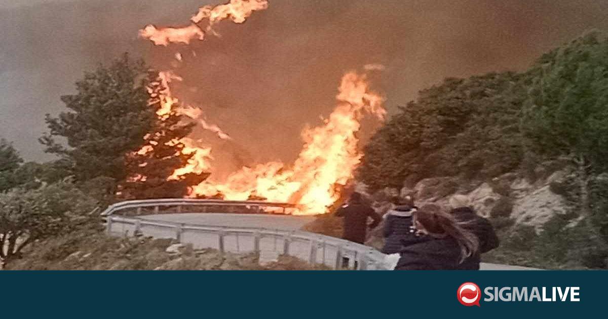 Μεγάλη φωτιά στον Άγιο Νικήτα Λευκάδας - Μήνυμα εκκένωσης από το 112 (ΒΙΝΤΕΟ) - Sigmalive