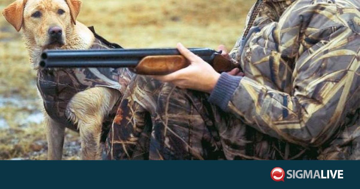 Σοβαρή υπόθεση λαθροθηρίας λαγού στην Επαρχία Λευκωσίας (pic) - Sigmalive