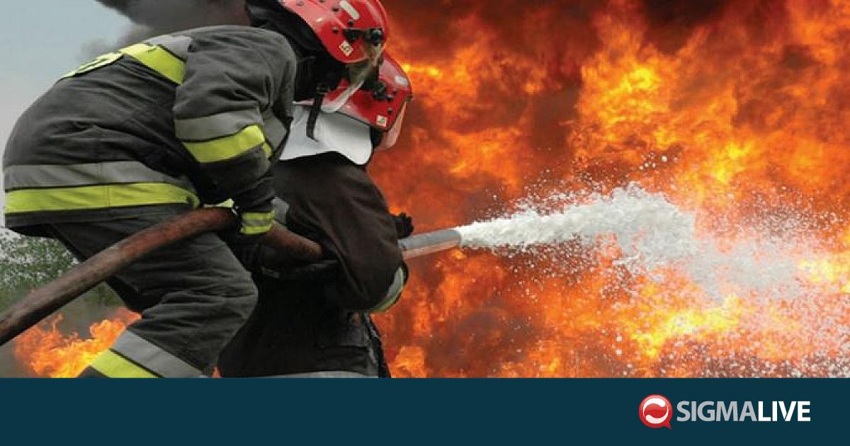 Στις φλόγες κτηνοτροφική μονάδα στη Δρομολαξιά - Διερευνώνται τα αίτια ...