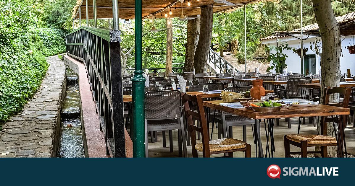 Μπουφέ την Κυριακή σε 10 όμορφα εστιατόρια στο χωριό - Sigmalive