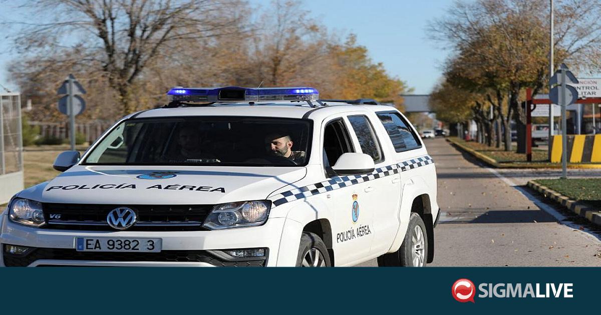 Ισπανία: Η αστυνομία κατέσχεσε 19 εξωτικά αιλουροειδή και συνέλαβε δύο άτομα - Sigmalive