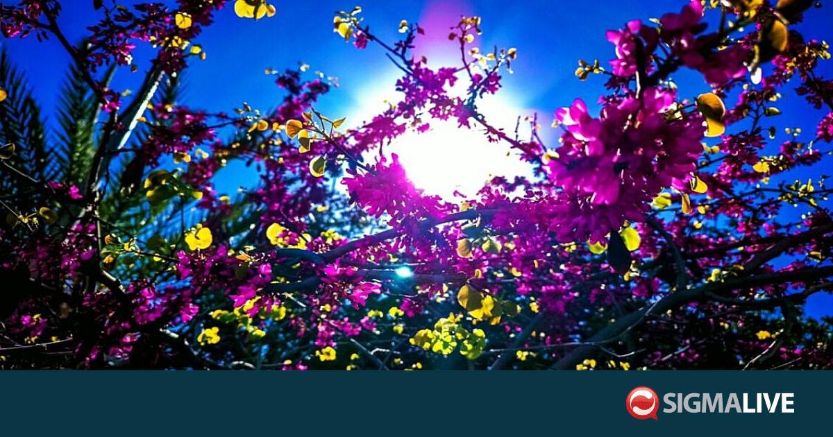 Καλοκαιρινό σκηνικό με 30 βαθμούς και σκόνη στην ατμόσφαιρα - Sigmalive