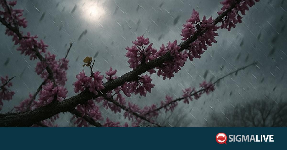 Βροχές και ισχυροί άνεμοι τις επόμενες μέρες - Αναλυτικά η πρόγνωση - Sigmalive