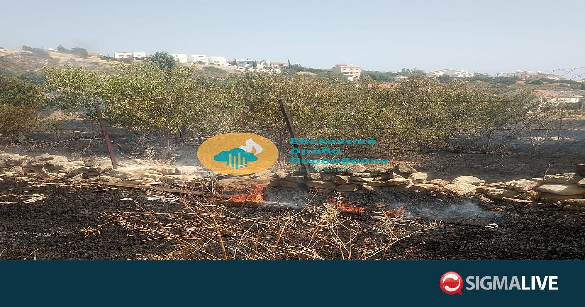 Λεμεσός: Σε εξέλιξη πυρκαγιά κοντά σε κατοικίες (pics) - Sigmalive