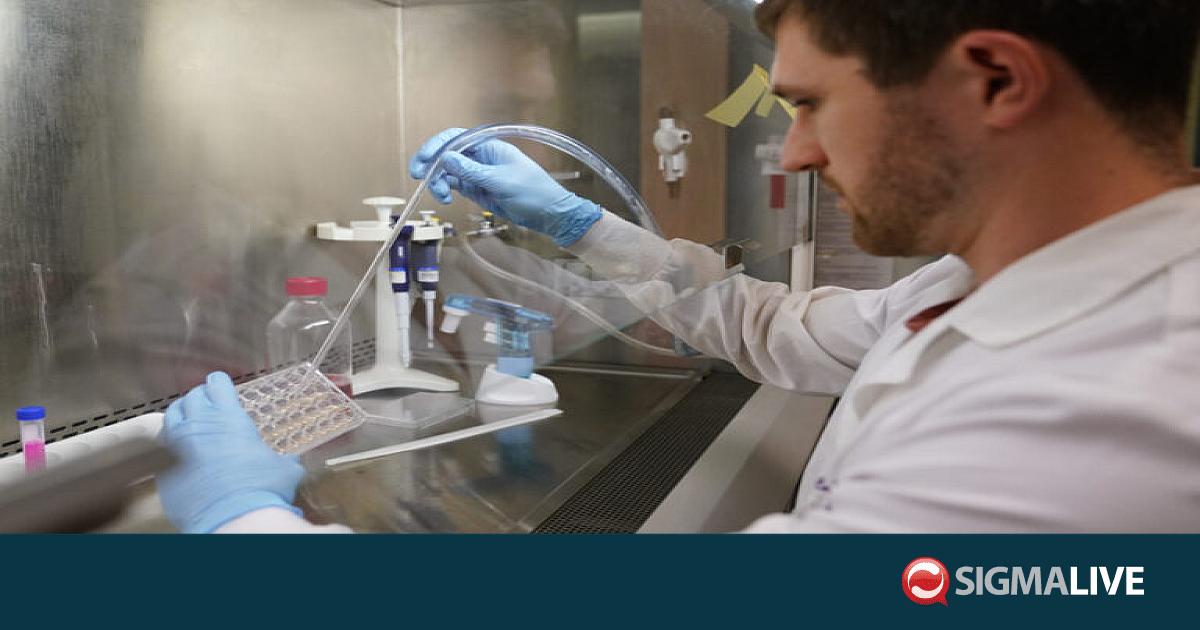 Κατά 31% μειώθηκε η χρηματοδότηση έρευνας για καρκίνο αφότου ανέλαβε ο Τραμπ - Sigmalive
