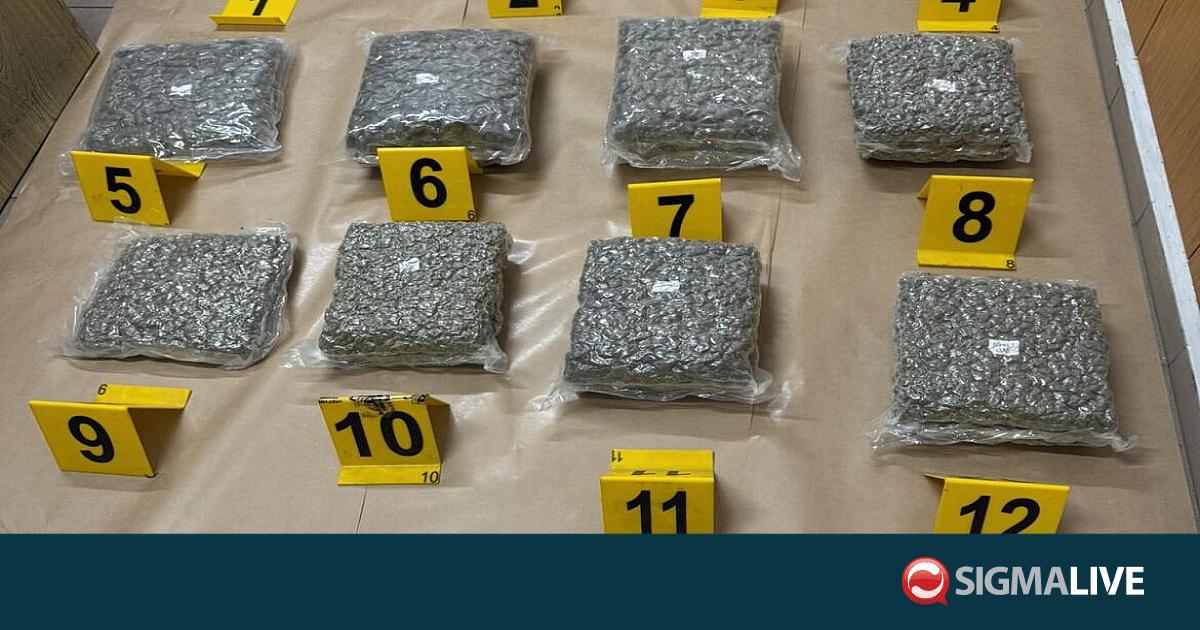 Ήρθε στην Κύπρο με 40 κιλά ναρκωτικά – Στη φυλακή για 16 χρόνια νεαρή (pics) - Sigmalive