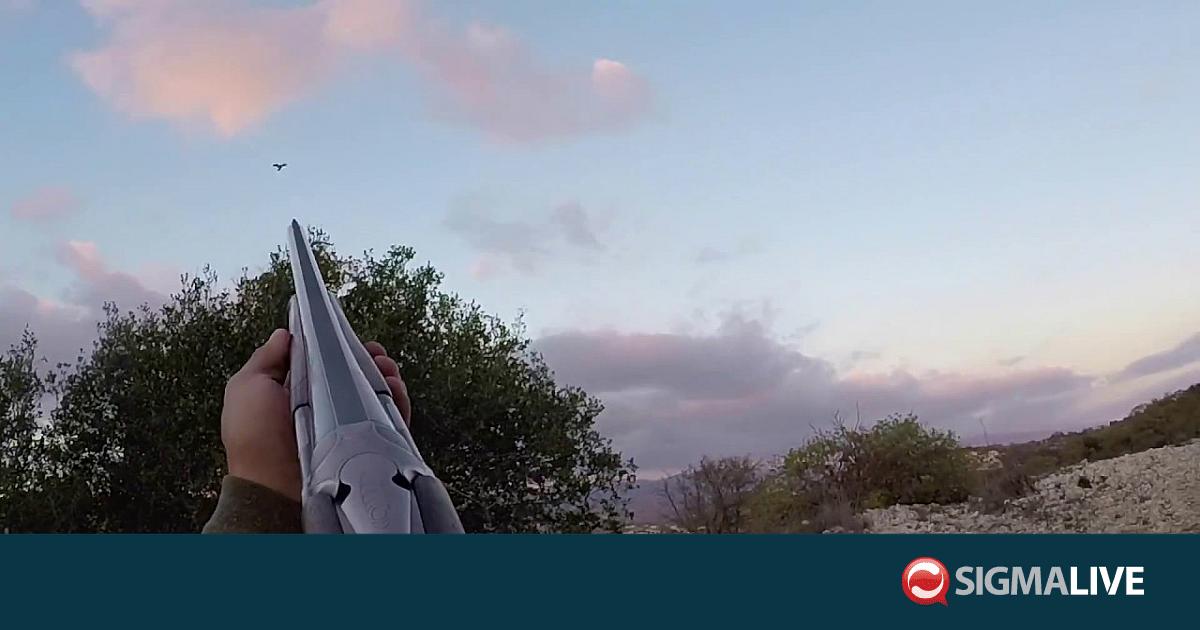 ΒΙΝΤΕΟ: Αναστάτωση στους κυνηγούς – Τα σκάγια «ακυρώνουν» τα όπλα ...