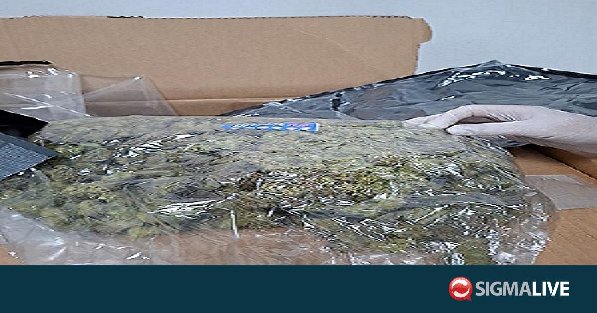 Έφτασε στο αεροδρόμιο Λάρνακας δέμα με 18 κιλά κάνναβης (pics) - Sigmalive