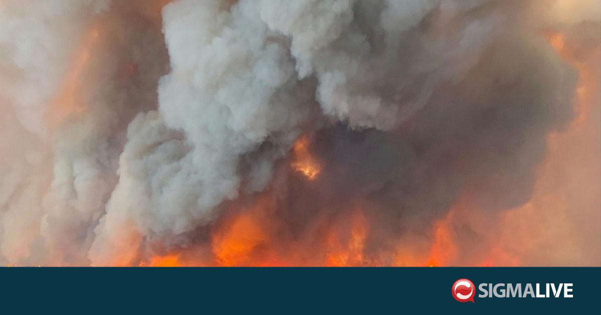 Μαίνονται τα πυρήνα μέτωπα στον Καναδά - Aποκαΐδια 35 εκατομμύρια στρέμματα - Sigmalive