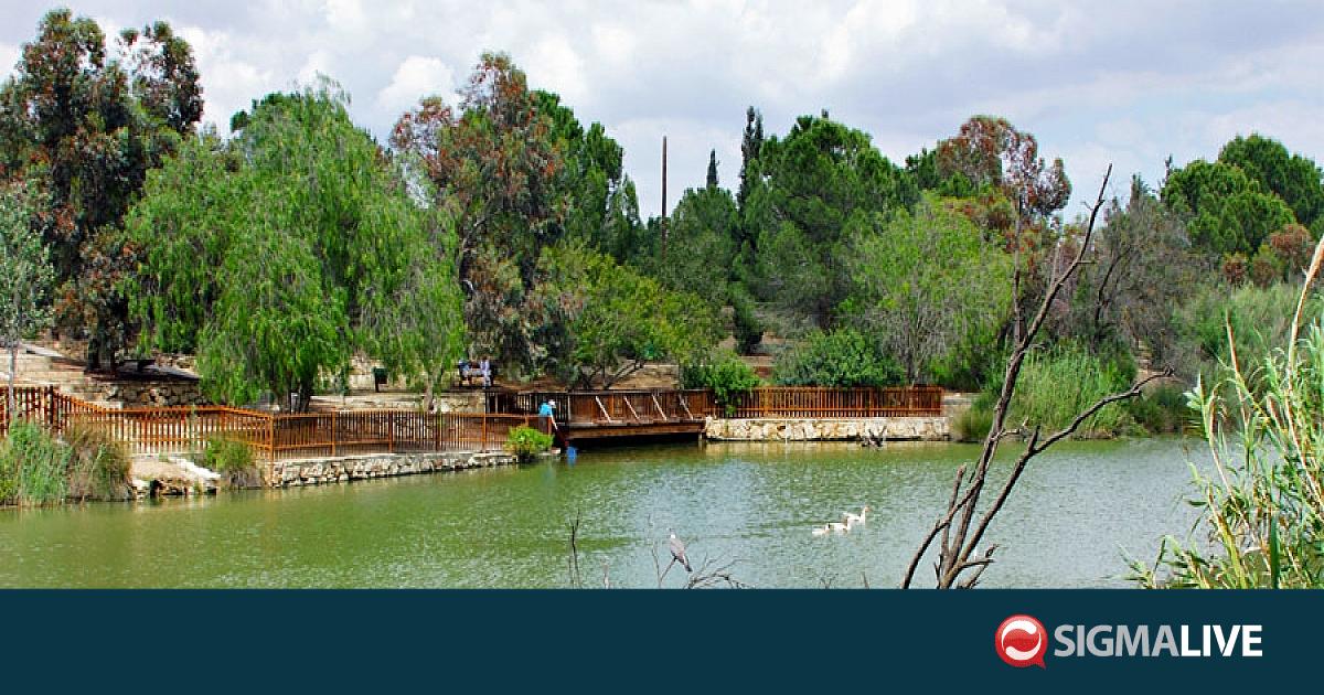 Θερινά σχολεία: Δεν θα εγκρίνονται συστηματικές δραστηριότητες σε ...