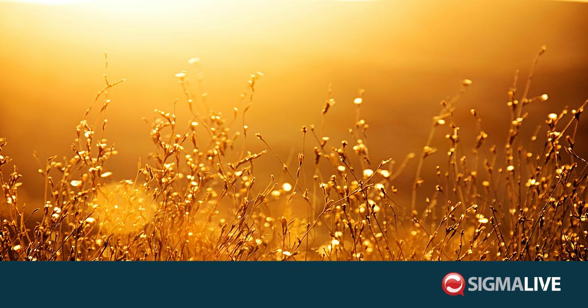 Κίτρινη προειδοποίηση Μετεωρολογικής - Πάμε για τα πρώτα 40αρια! - Sigmalive