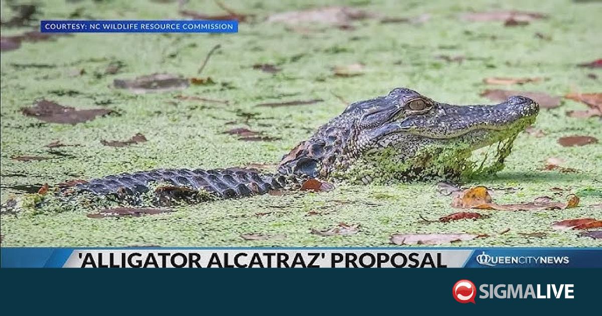 «Αλκατράζ με αλιγάτορες»: Στις ΗΠΑ ετοιμάζεται νέο κέντρο κράτησης ...