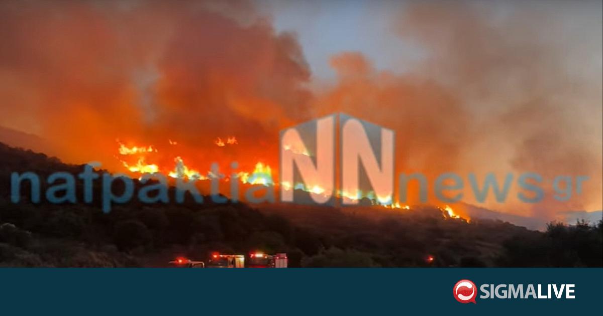Μεγάλη πυρκαγιά στην Παλαιοπαναγιά Ναυπάκτου - Μήνυμα του 112 για εκκένωση - Sigmalive