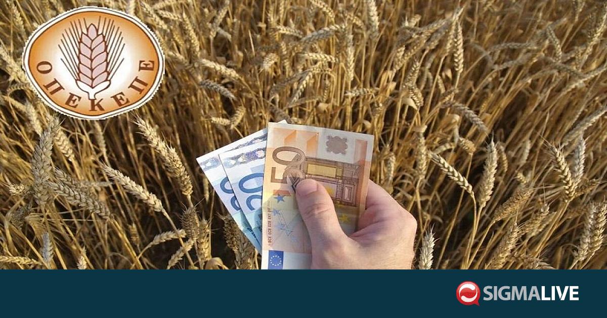 Τι είναι το σκάνδαλο ΟΠΕΚΕΠΕ που προκαλεί «πολιτικό σεισμό» στην Ελλάδα ...
