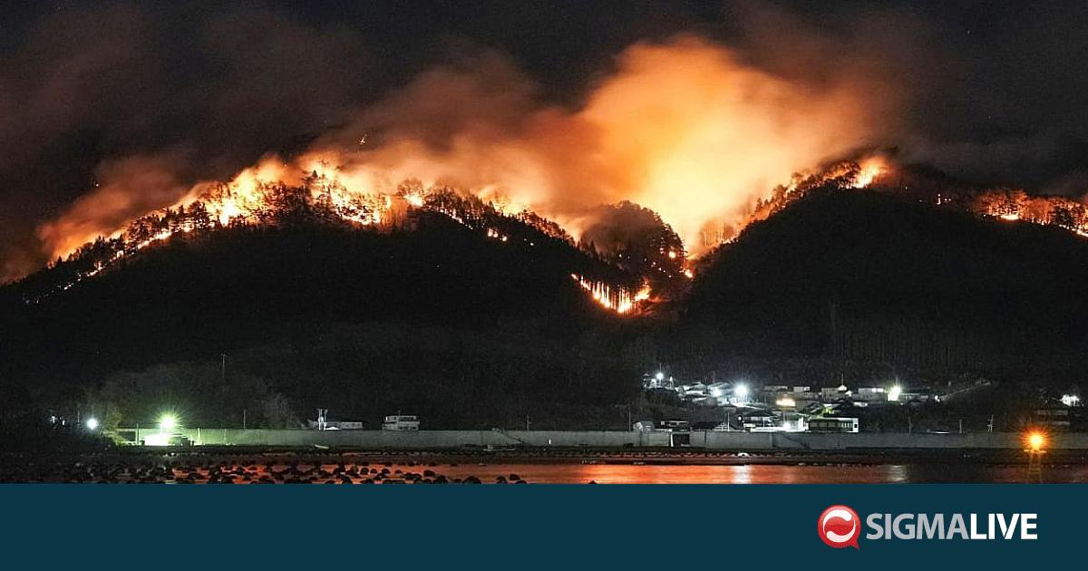 Δορυφόροι θα σαρώνουν τη Γη κάθε 20 λεπτά για να εντοπίζουν πυρκαγιές - Sigmalive