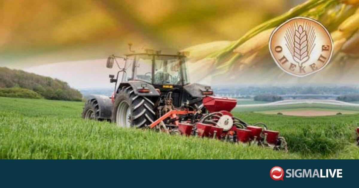 ΟΠΕΚΕΠΕ: Ενοχή 7 κατηγορουμένων προτείνει η εισαγγελέας - Sigmalive