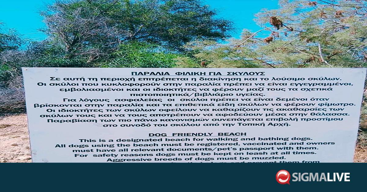 Δήμος Παραλιμνίου-Δερύνειας: Συμμορφωνόμαστε με νομοθεσίες για ...