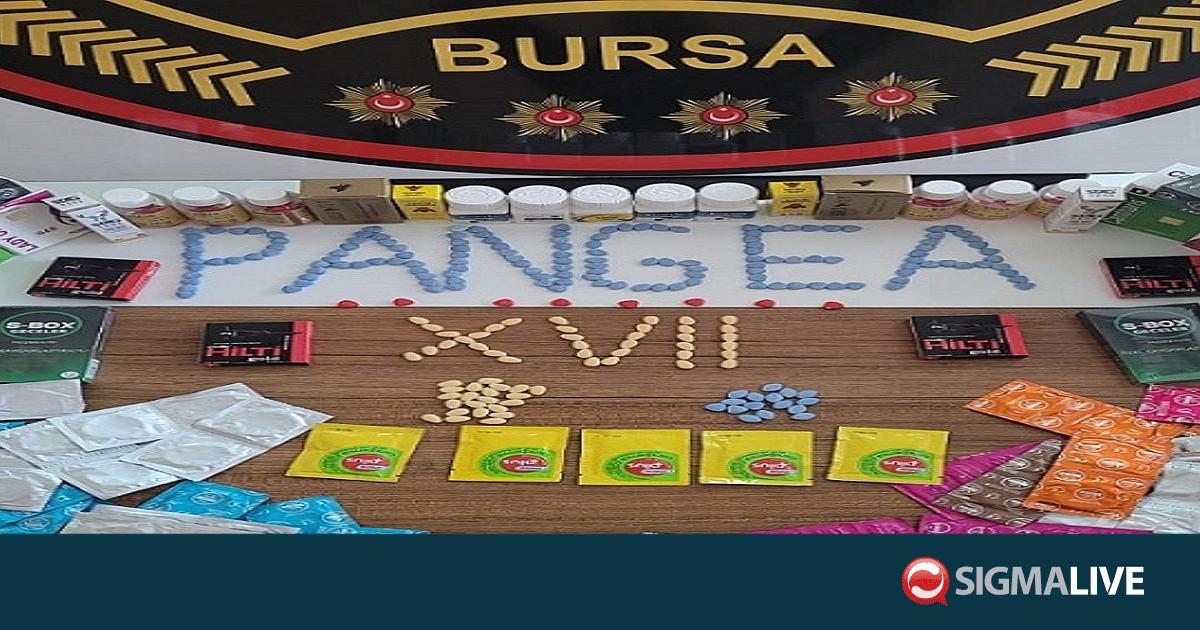 Η Κύπρος σε επιχείρηση της Interpol:Ρεκόρ 769 συλλήψεων και κατασχέσεις $65 εκ - Sigmalive