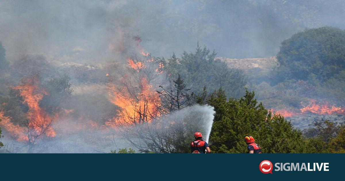 Τουρκία: Μια άγνωστη οργάνωση ανέλαβε την ευθύνη για δεκάδες εμπρησμούς - Sigmalive