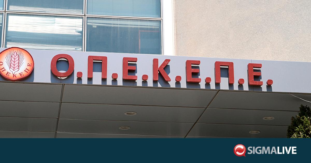 Έρευνα στον ΟΠΕΚΕΠΕ ξεκίνησε η Αρχή για το Ξέπλυμα Μαύρου Χρήματος στην ...