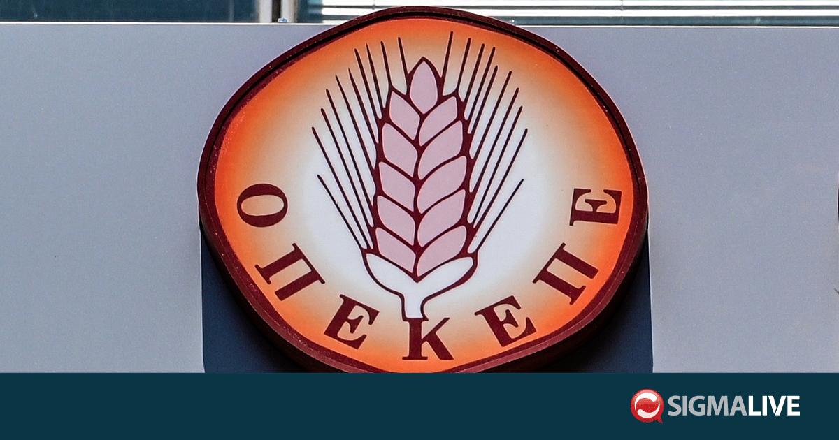Εξεταστική για τον ΟΠΕΚΕΠΕ προτείνει η ΝΔ - Sigmalive