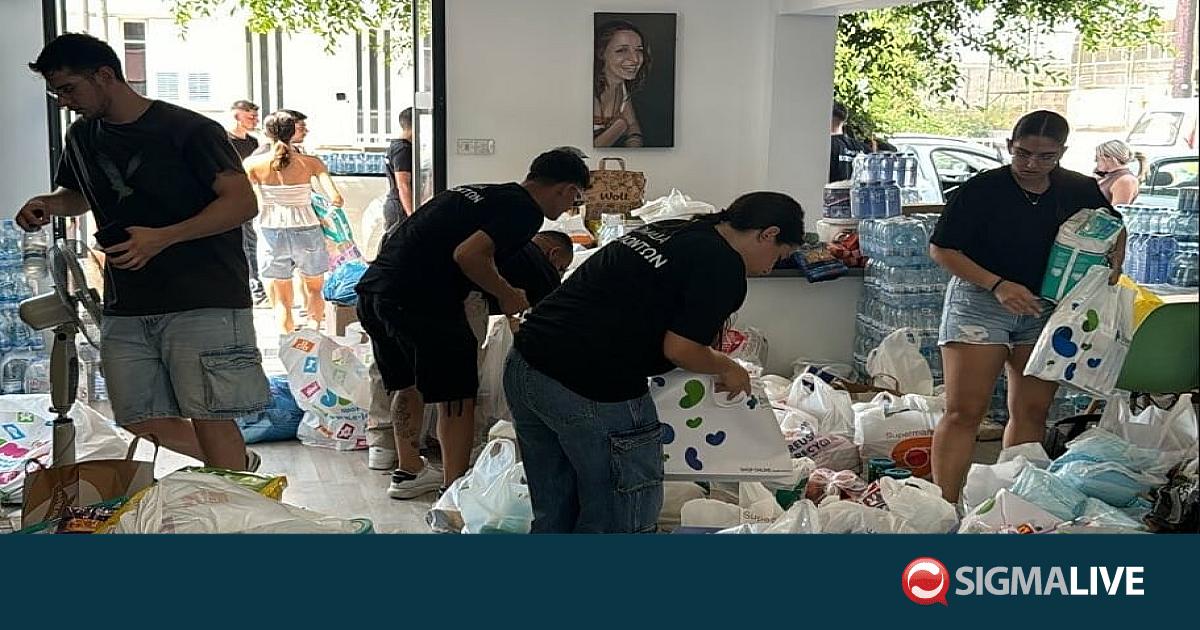 Ολοήμερες διανομές και στήριξη σε οικογένειες από τη Νεολαία του ΔΗΣΥ - Sigmalive