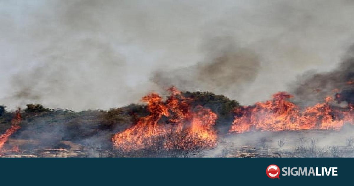 Γρήγορα σβήστηκε φωτιά στην κατεχόμενη Κερύνεια - Sigmalive