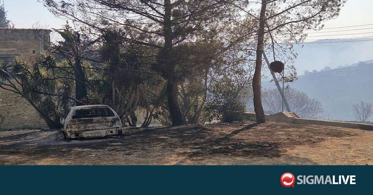 Το Volt ζητεί δημόσια συγνώμη της κυβέρνησης και παραιτήσεις - Sigmalive