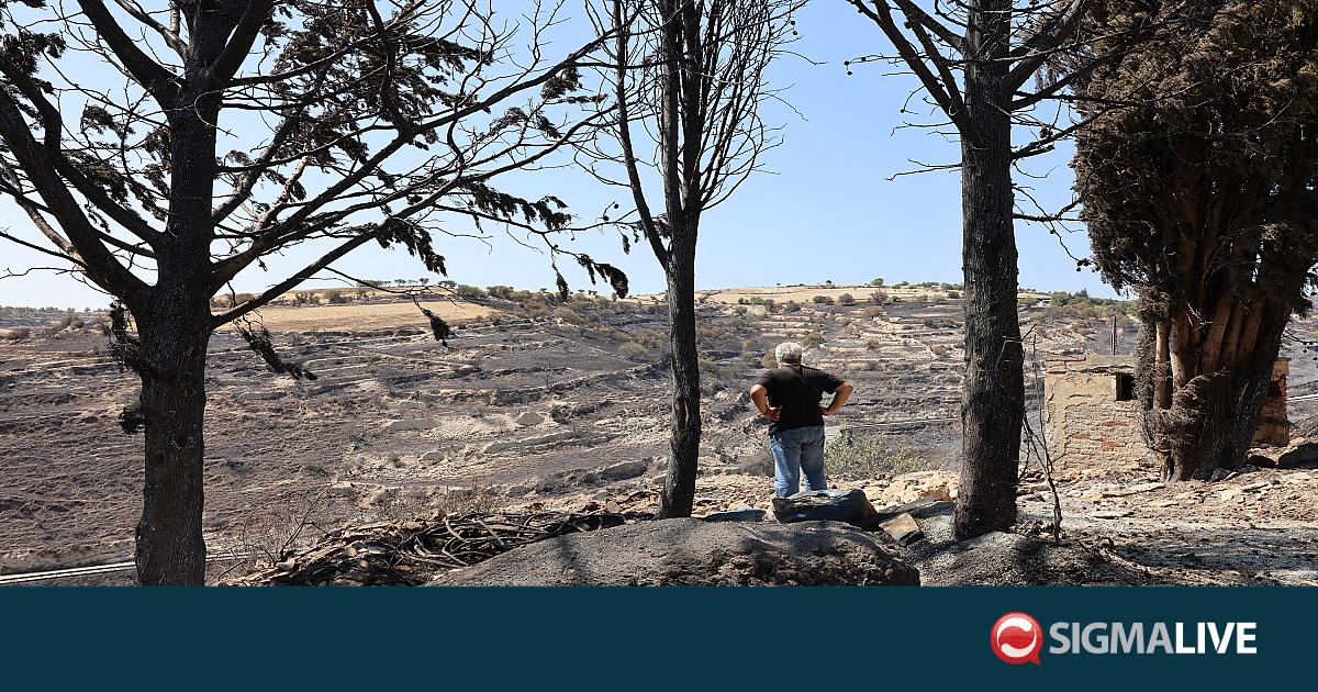 Σε επιφυλακή οι Αρχές μετά από πληροφορίες για οργανωμένο δίκτυο εμπρηστών - Sigmalive