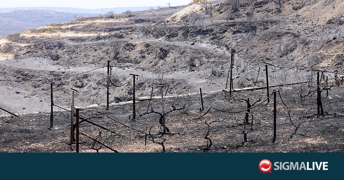 ΑΗΚ: Χρονοβόρα η διαδικασία αποκατάστασης της ηλεκτροδότησης στη Λεμεσό - Sigmalive