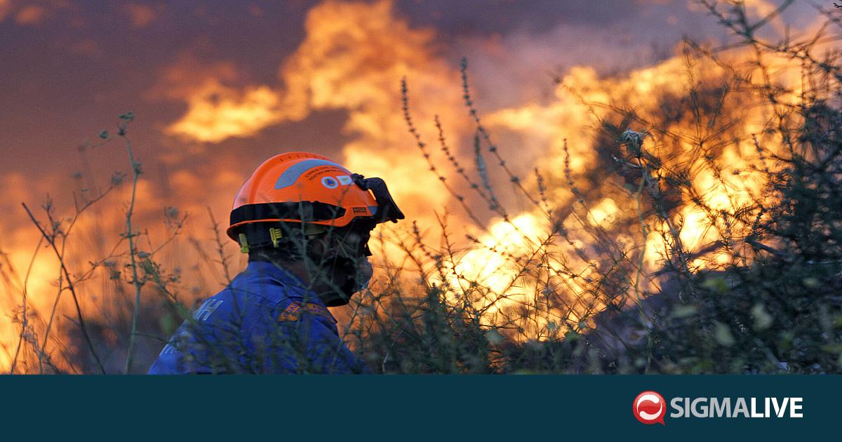Τμήμα Δασών: Κόκκινος Συναγερμός την Τετάρτη για δασικές πυρκαγιές ...