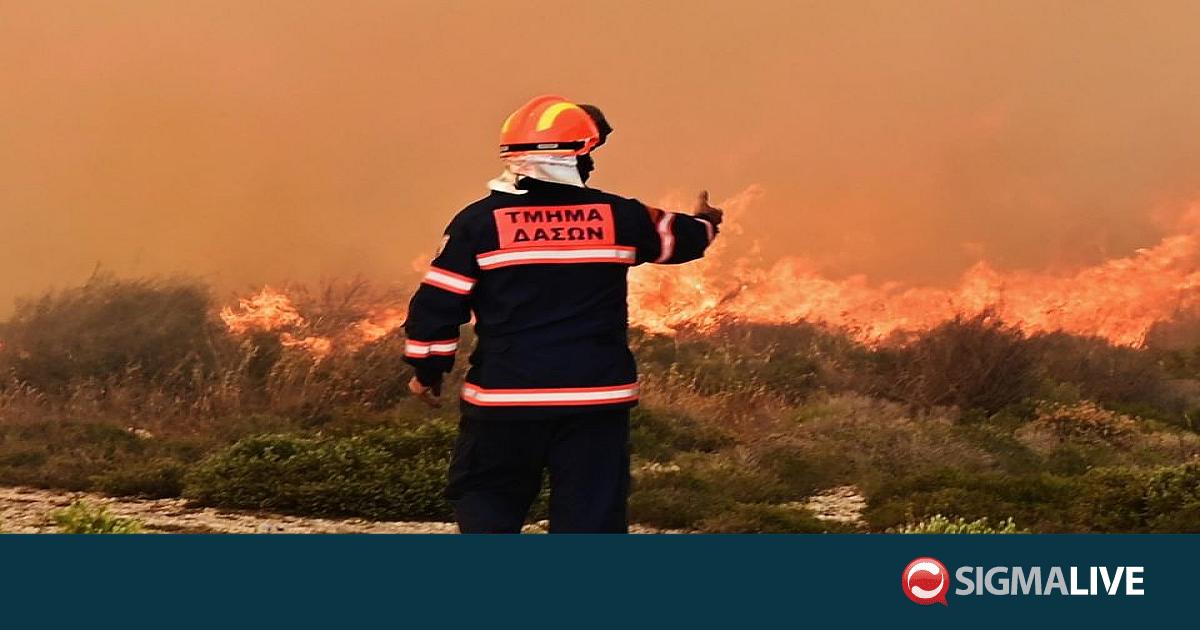 Τμ. Δασών: Άνοιξαν θέσεις για μόνιμους δασοπυροσβέστες-Δείτε τις ...