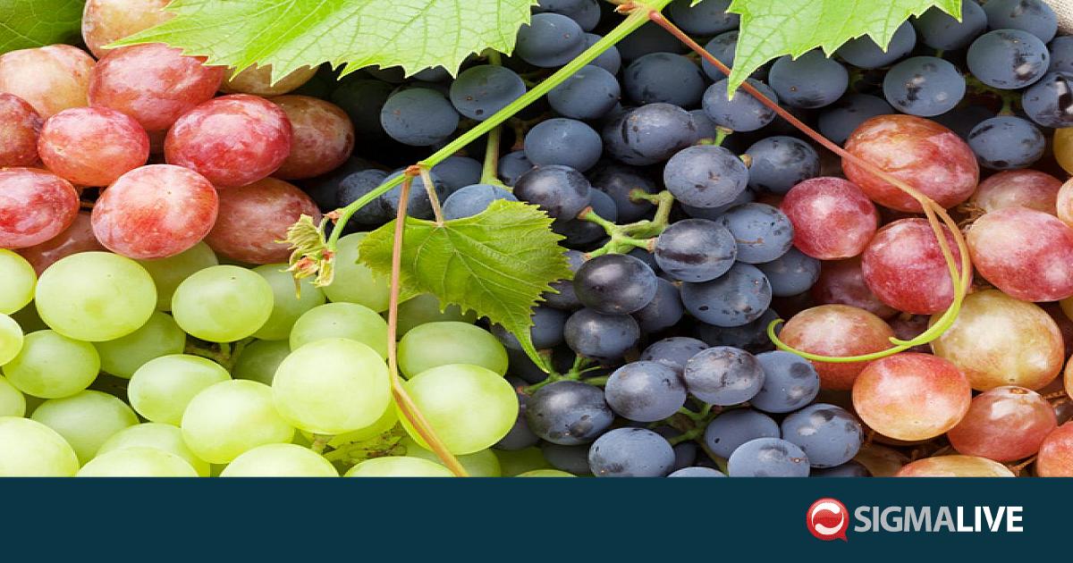 Τα σταφύλια είναι ένα superfood που πολλοί ίσως να αγνοούν - Sigmalive