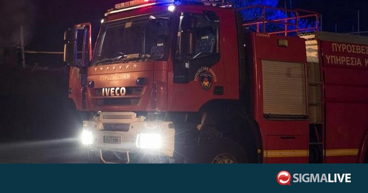 Πάφος: 39χρονη κλειδώθηκε σε κατάστημα και του έβαλε φωτιά - Sigmalive