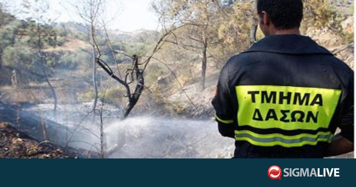 Τέθηκε υπό έλεγχο πυρκαγιά στο Τρόοδος εντός του Εθνικού Δασικού Πάρκου ...