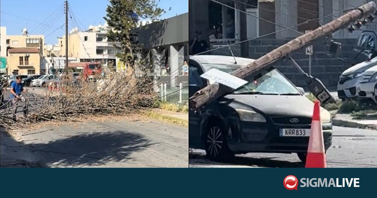 ΒΙΝΤΕΟ: Δέντρο έριξε πασσάλους λόγω ισχυρών ανέμων- Καταπλάκωσε ...