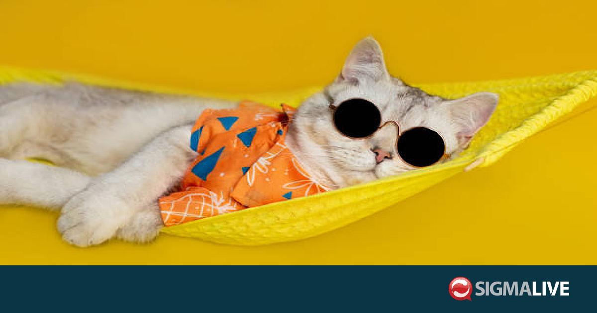 Οι αργίες που μένουν για το 2025 και τα τριήμερα του 2026 - Sigmalive